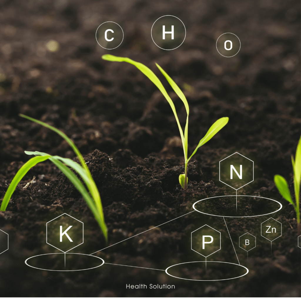 Your gut and the soil - what do they have in common? - Humic Solution