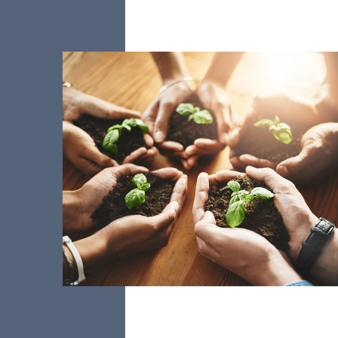 Humic Solution - Humic Solution